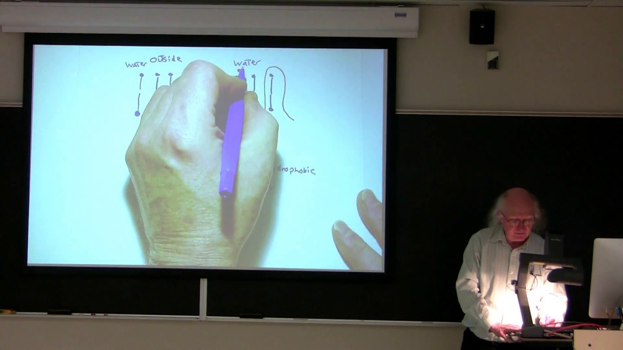 Problem Set 4 Solutions for Kevin Ahern's BB 450