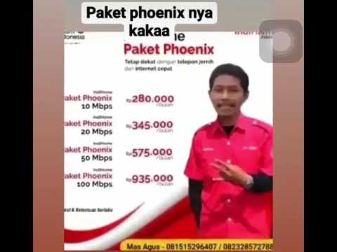 Steam Community :: Video :: meme pheonix