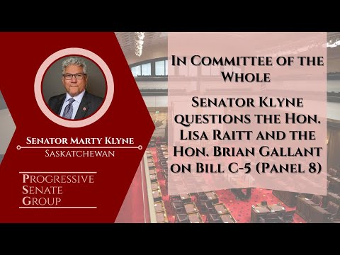 Senator Klyne questions witnesses on Bill C-5 (Panel 8) - June 18, 2025 (English feed)