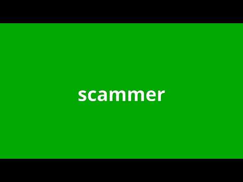 what is the meaning of scammer