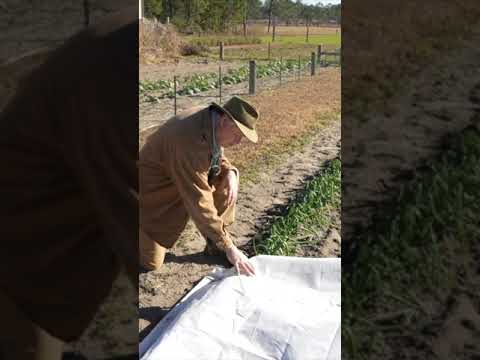 What You Should NOT Do in Cold Weather Gardening