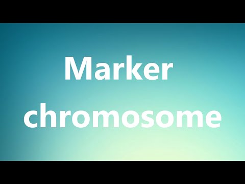 Marker chromosome - Medical Definition and Pronunciation