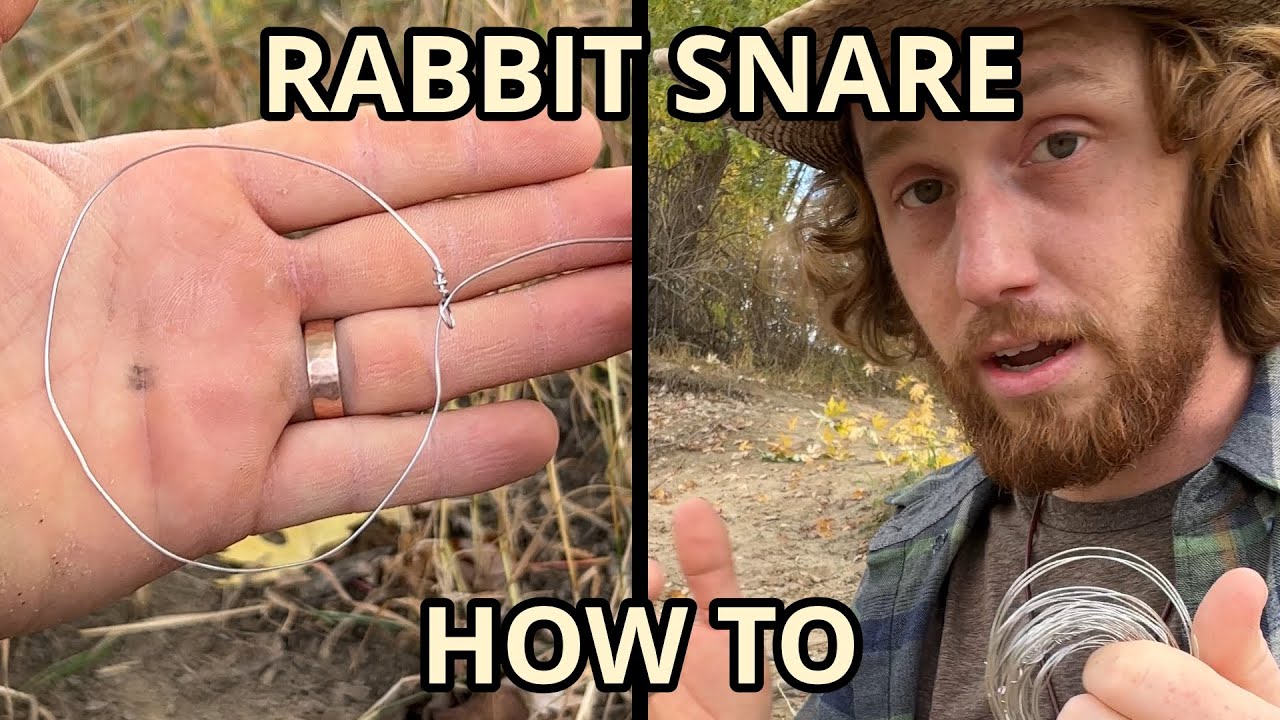 DIY Rabbit Snare quick tip. How to make and set a rabbit snare