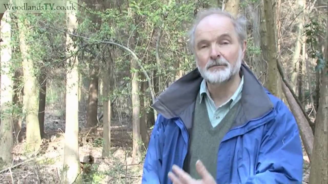 Tree Thinning - selecting trees to extract