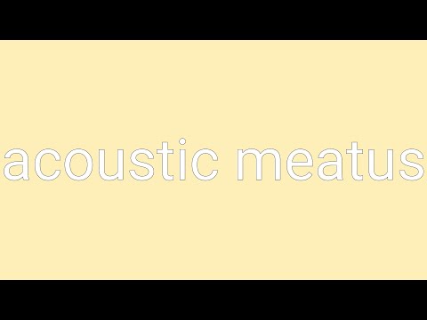 Acoustic Meatus Definition & Meaning