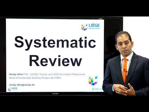 Systematic Literature Review