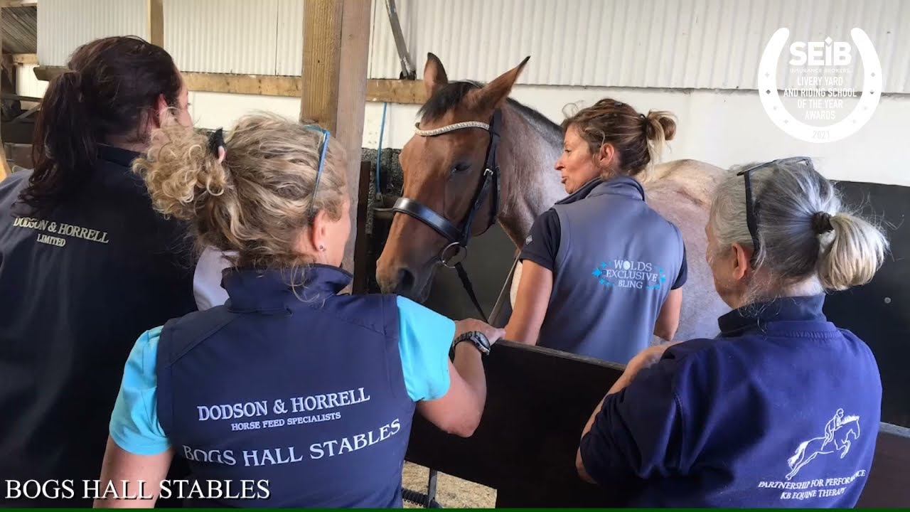 Full Livery Yards shortlisted for the 2021 SEIB Livery Yard, Riding School and RDA Awards