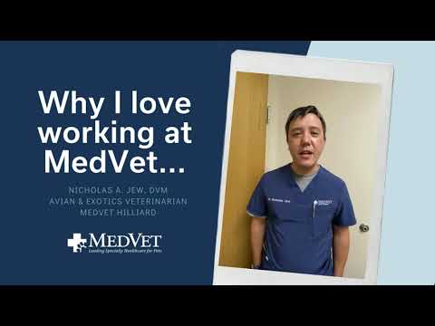 Why I Love Working at MedVet - Dr. Jew