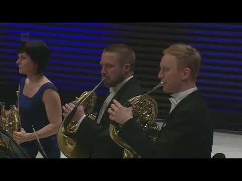 Finnish Radio Symphony Orchestra - Songs, Events and Music Stats | Viberate.com
