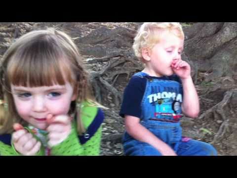 Watching the Duck Movie