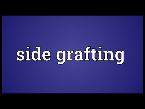 Side grafting Meaning