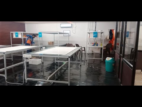 Solar Panel Manufacturing Unit - Solar Panel Manufacturing Plant Latest ...