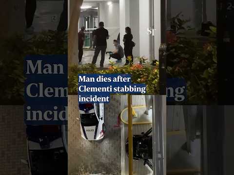 Singapore: Man dies after Clementi stabbing incident | weehingthong