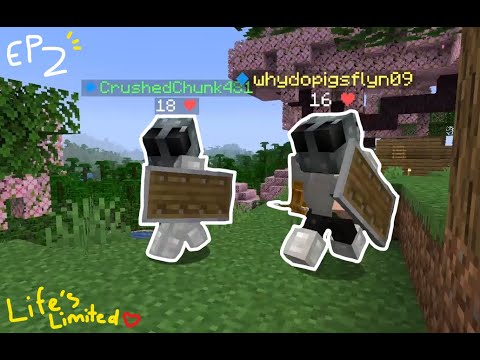 UNINTENTIONAL RACE WAR AGAINST FLIES - Life's Limited Episode 2