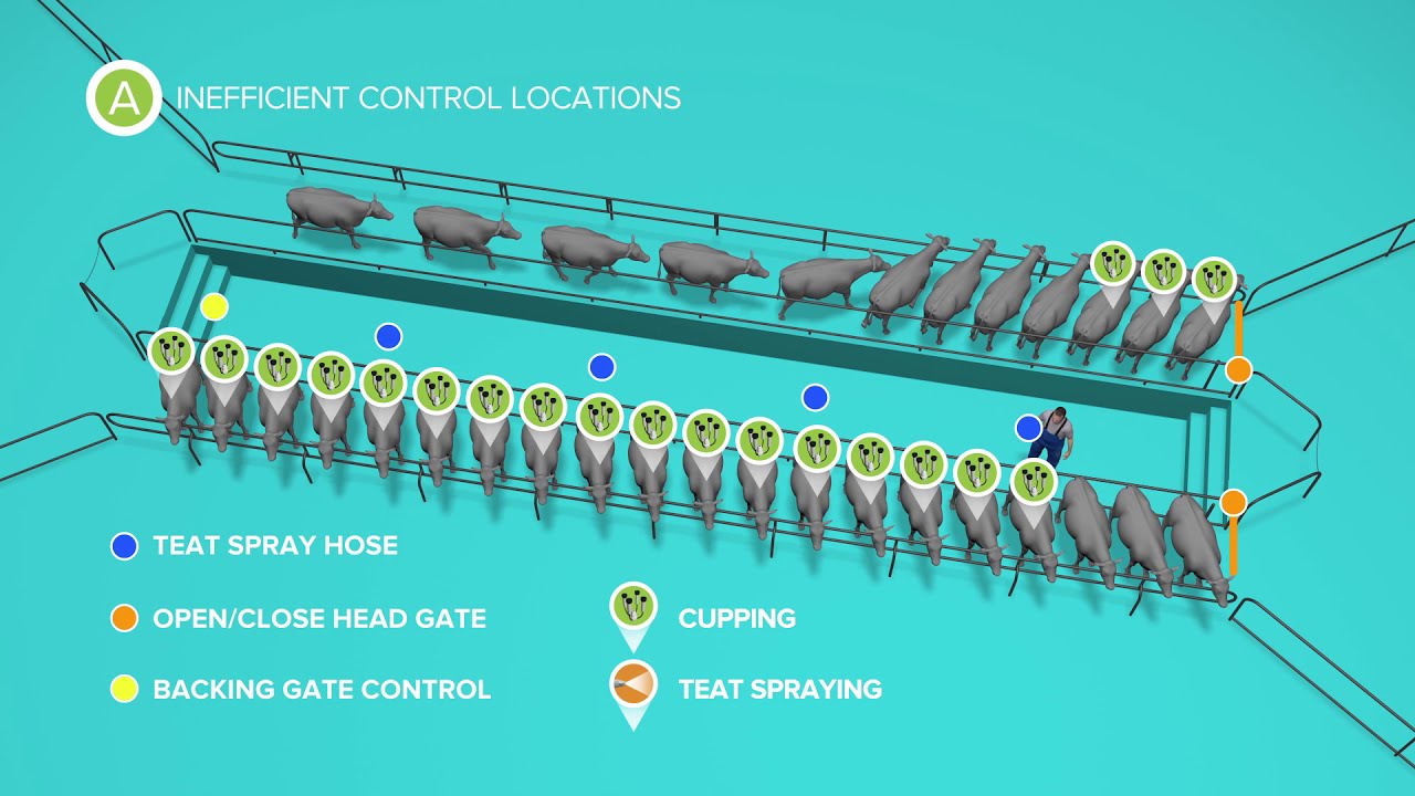 Herringbone Control Points