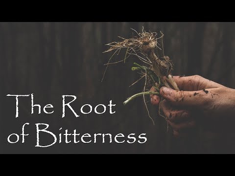 What is the root of bitterness?