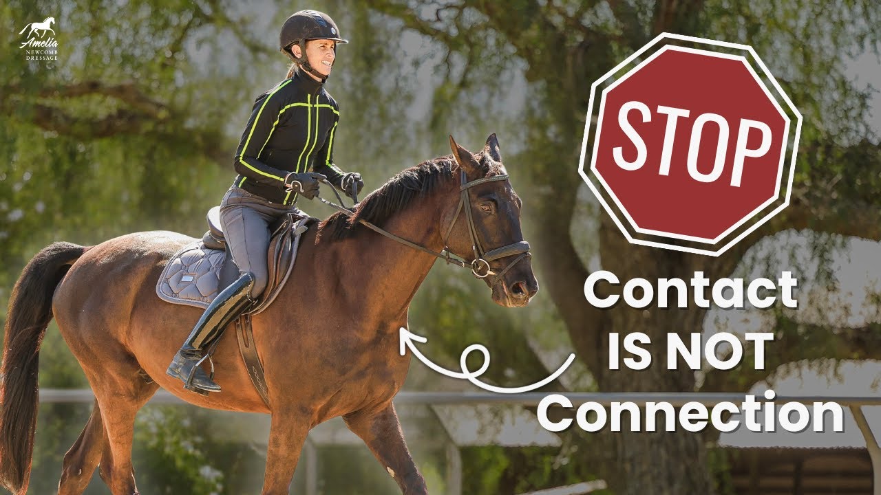 Contact vs. Connection Explained