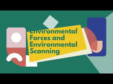 Organization and Management Lesson 4: Environmental Scanning
