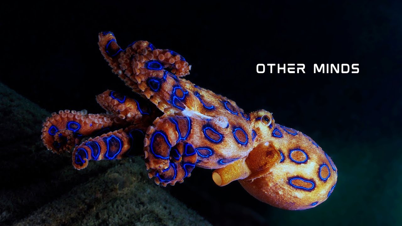 How Evolution Created Mind, Twice: The Fascinating Journey of ...