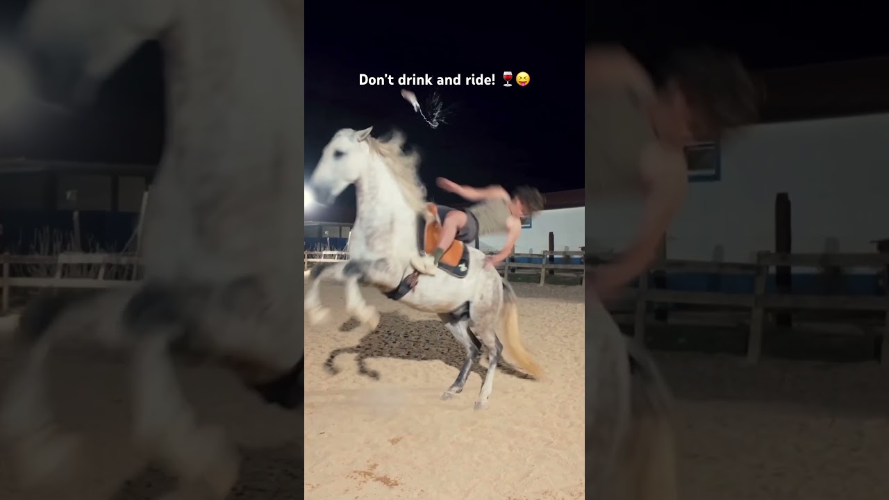 Auf www.keytohorses.com findest du +350 Videos, wie dein Pferd zum Traumpferd wird! ♥️