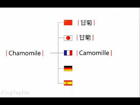 How to pronounce Chamomile in German,French,Japanese,Chinese and Spanish