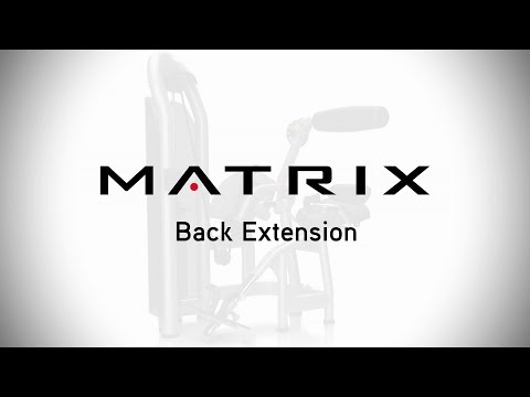 Back Extension Machine at Best Price in India