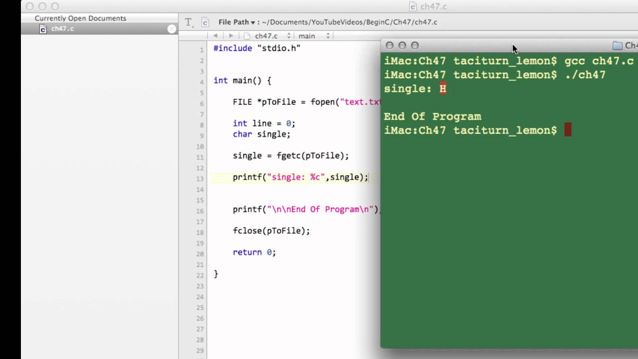 Beginning C Programming - Part 47 - Read Text From A File By Character