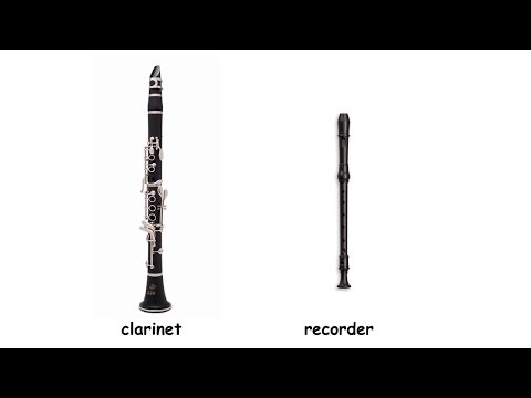 American Sign Language ASL Video Dictionary - clarinet