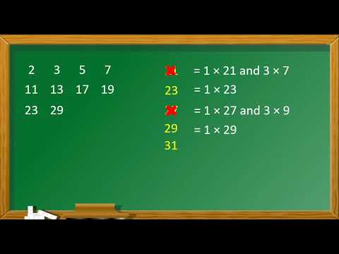 Prime Numbers 20 - 40