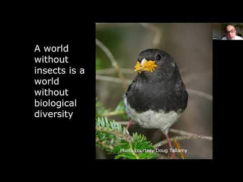 Landscaping with Native Plants