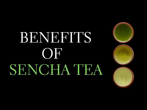 Fukamushi Sencha Benefits - All You Need to Know about the Health Benefits of Fukamushi Tea