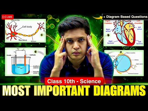 Class 10th Complete Science Most Important Diagrams🔥| Diagram Based Questions | Prashant Kirad