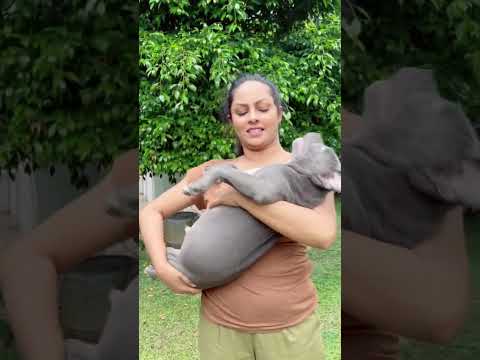 ඒ දෙන්නා🙂👀♥ Salani Tharaka #shorts #actress #srilanka #sinhala #tiktok #trending #viral