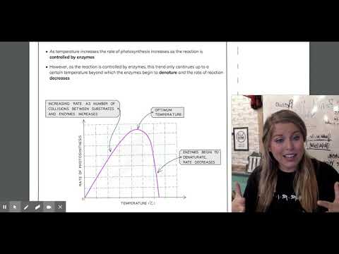 6.6 Limiting Factors of Photosynthesis