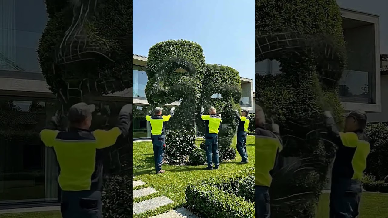 🎭 From Wire to Wonder: Watch This Garden Masterpiece Come to Life! 🌱