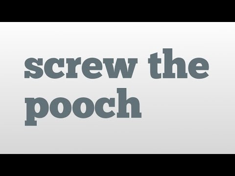 screw the pooch meaning and pronunciation