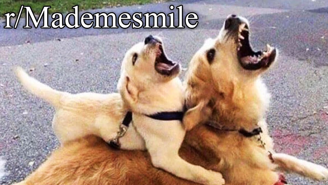 r/Mademesmile | GET EM MOM