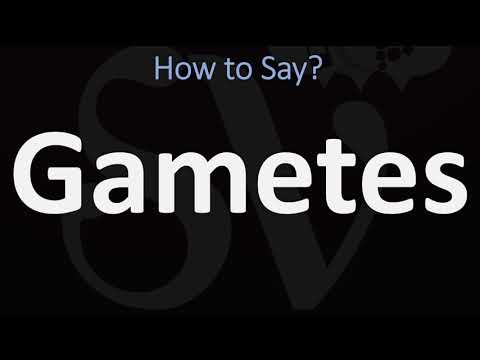 How to Pronounce Gametes? (CORRECTLY)