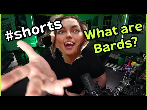 What is a Bard in D&D?