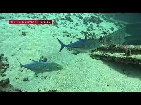 Kaafu Atoll: alla ricerca di un relitto sconosciuto