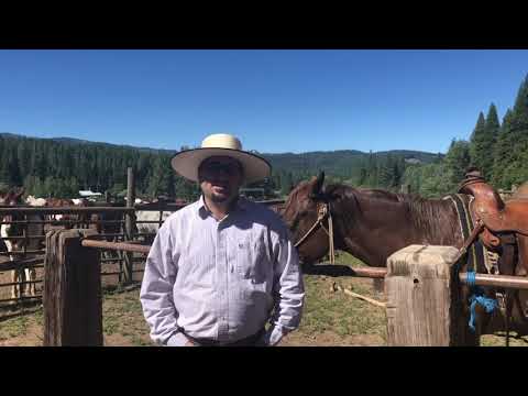 Greenhorn Ranch California Dude Ranch