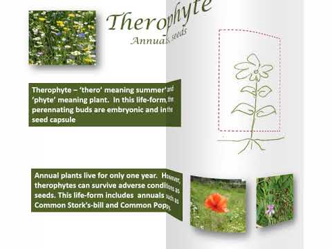 Qualiteach Education & Ecology Training Raunkiaer Tutorial