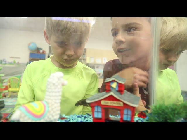 Education Grant for Teachers - Pets in the Classroom