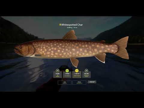 Trophy Whitespotted Char. Yama. Russian Fishing 4. Number 99 trophy species.