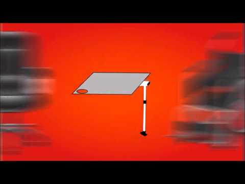 What is WT_15