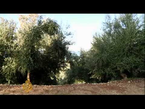 Greek farmers shortchanged on crop yield