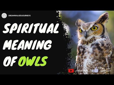 spiritual meaning of owls