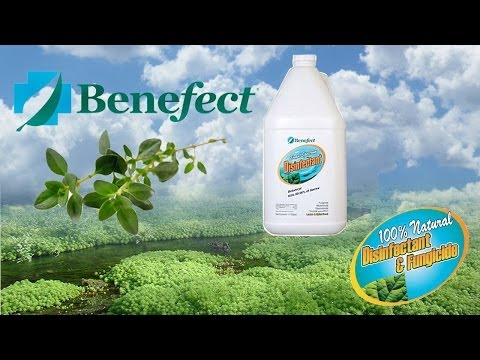 Benefect 100% Natural Disinfectant - The Benefect Story
