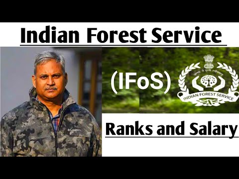 Indian Forest Service (IFoS) Ranks and Salary 🔥। à¤à¤¾à¤°à¤¤à¥€à¤¯ वन सेवा अधिकारी का Ranks and Salary 🔥🔥।2022