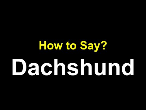 How to Pronounce Dachshund โ Correct Pronunciation